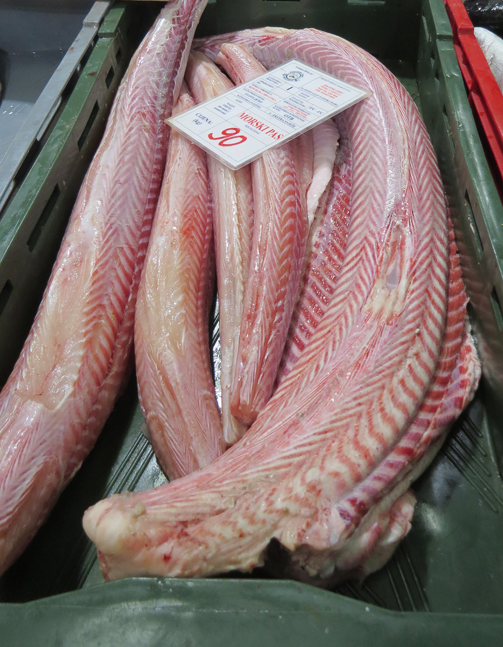 RIBA ZA RUČAK: Pohani morski pas s blitvom i krumpirom - Nautička Patrola