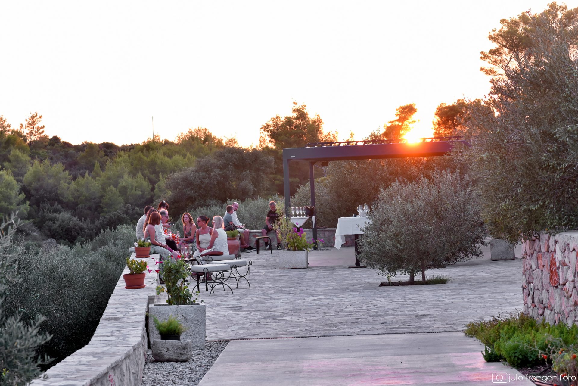 JELSA: Predstavljanje svježih maslinovih ulja u kušaonici Seca u Gdinju ...